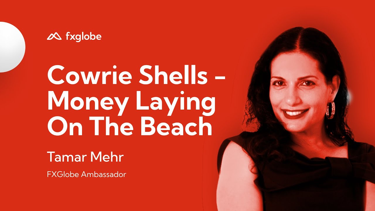 FXGlobe History of Currency - Cowrie Shells - Money Laying On The Beach ...