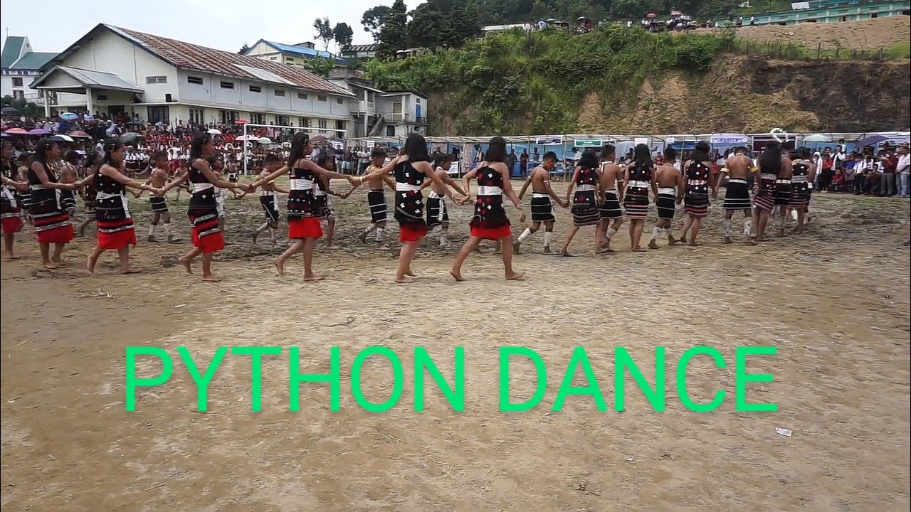 PYTHON DANCE OF THE ZELIANG NAGA TRIBE | PEREN | NAGALAND | INDIA ...