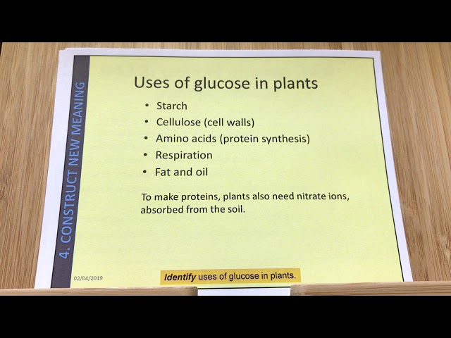Uses Of Glucose