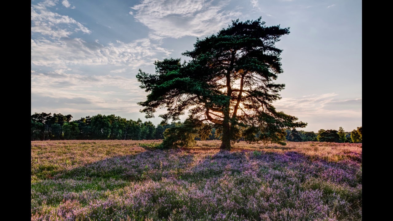Interdisciplinarity within Alex Aaronson Photography – Appreciating ...