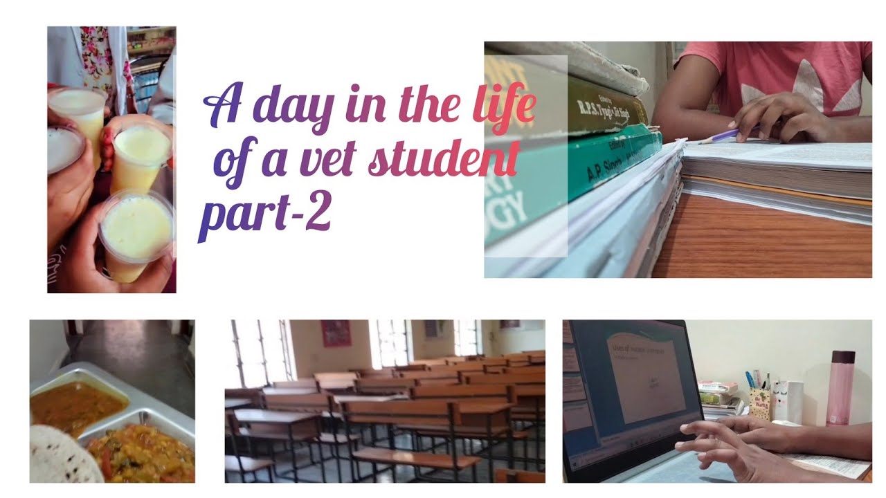 A DAY IN THE LIFE OF A VET STUDENT 🩺📚 Part-2 #vet life ...