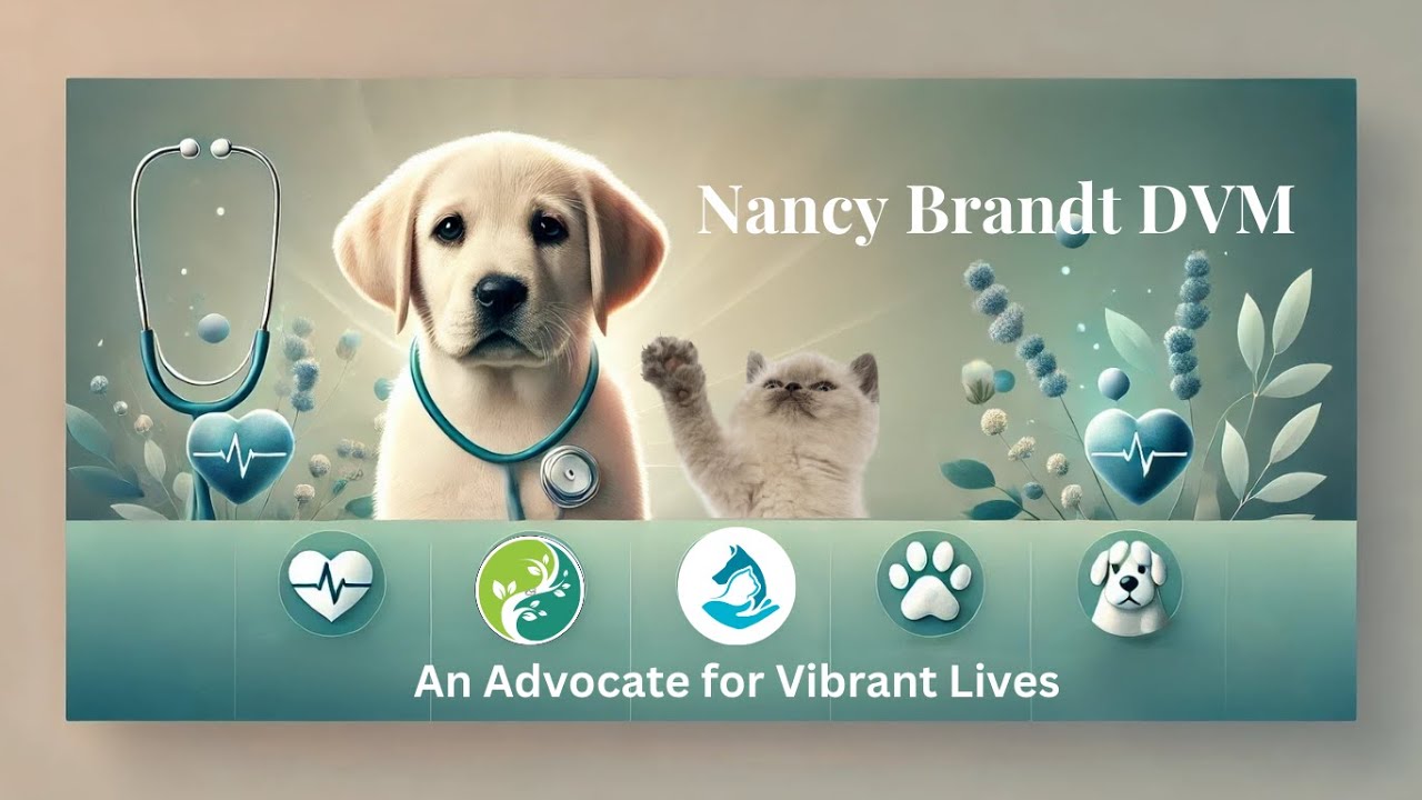 Poultice Types with Dr. Nancy Brandt DVM - YouTube