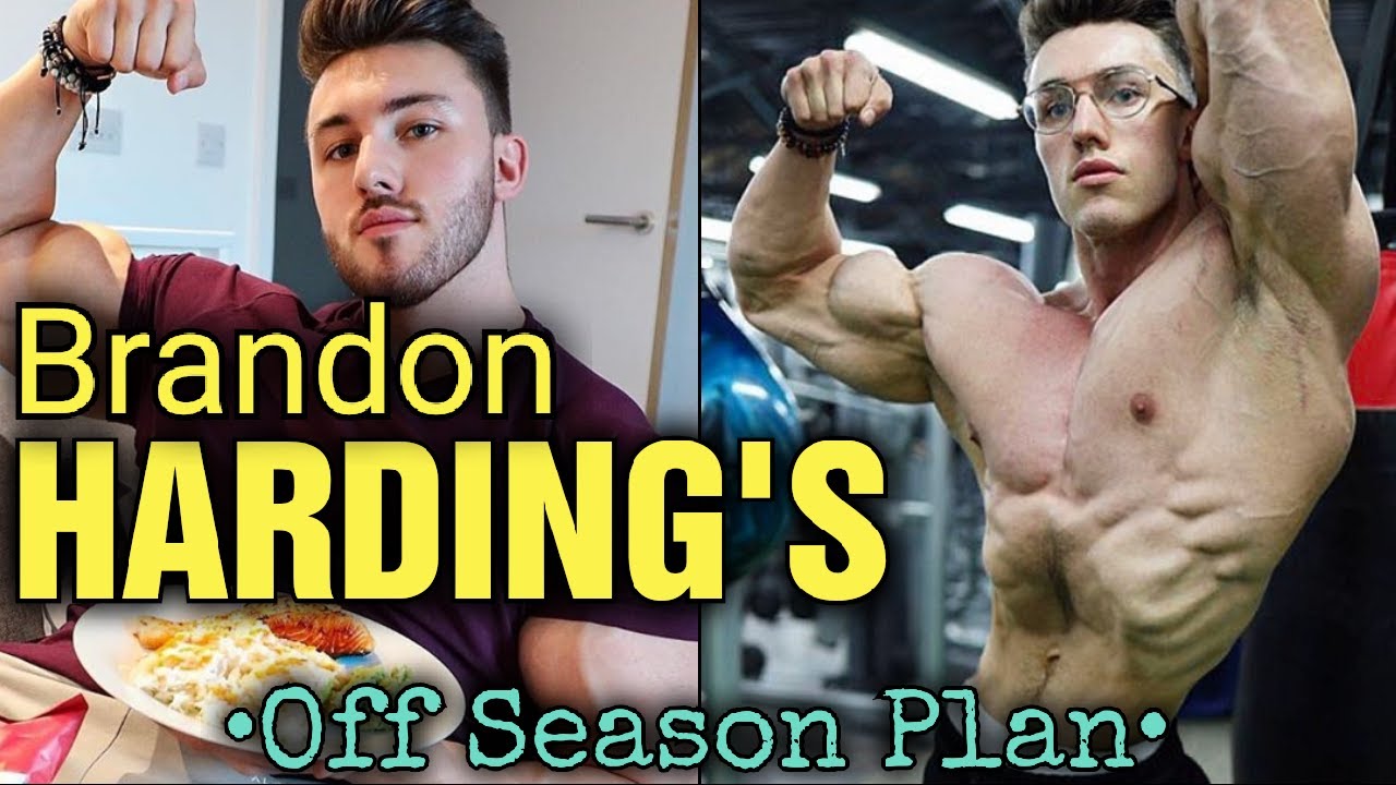 Brandon Harding - UPDATE - His New Off Season Plan Explained!!! - YouTube