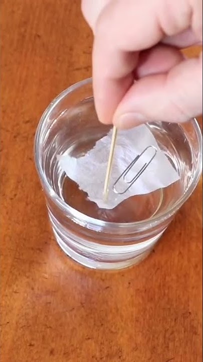 This Is How To Make A Paper Clip Float On Water 💦 📎 😮 - YouTube
