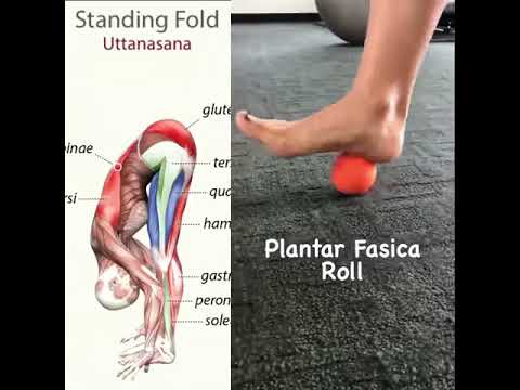 How To Fix Your Feet - YouTube