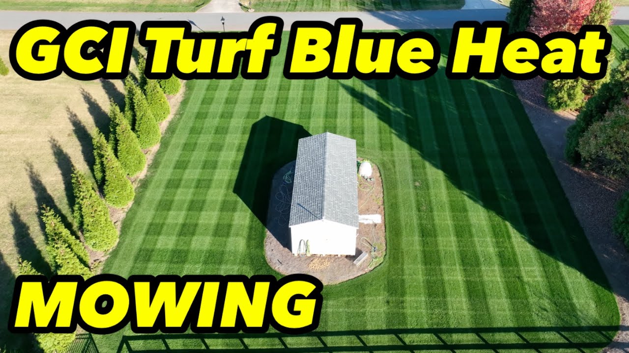 Mowing GCI Turf Blue Heat Kentucky Bluegrass - YouTube