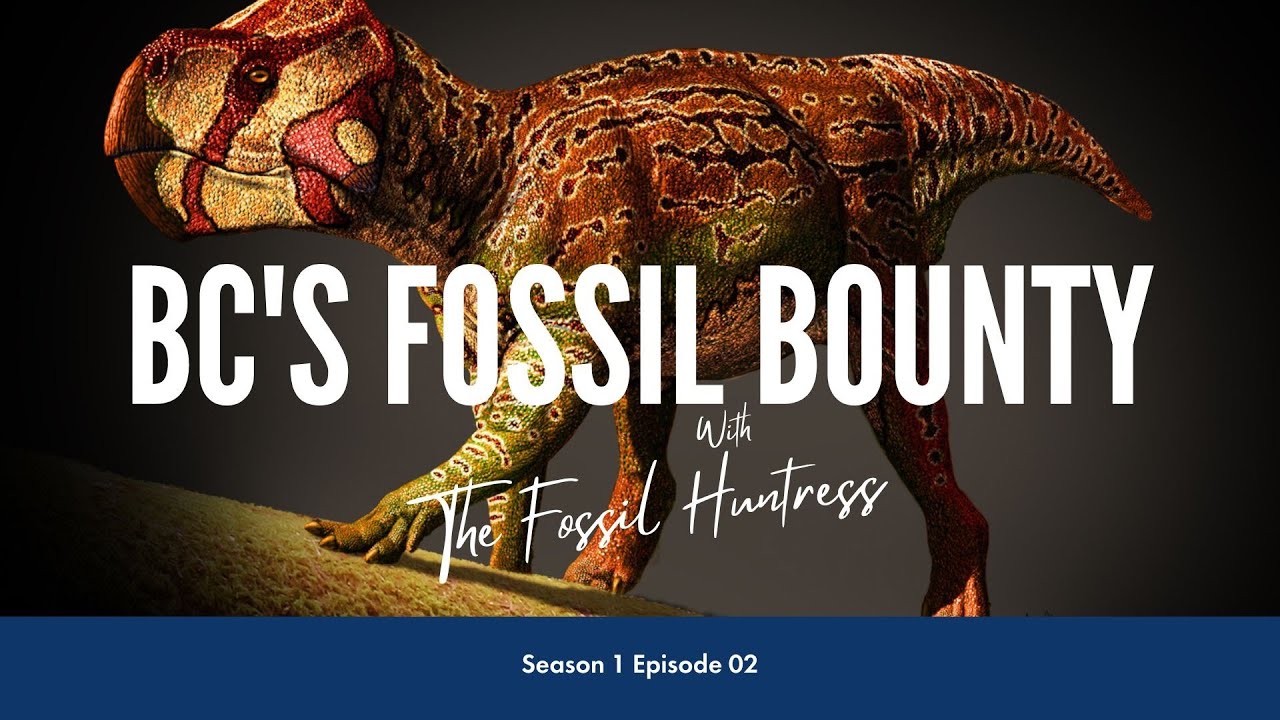 BC Fossil's Bounty I S1 Ep 2 - YouTube