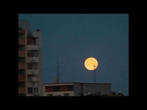 murat göğebakan ay yüzlüm gitar cover