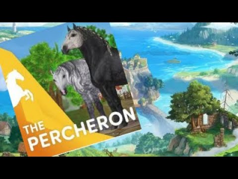 SSO TEASER THE PERCHERON !!! - YouTube