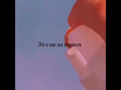 Nazryn-Senle olmaz ki ❤🌸