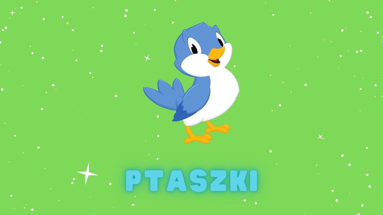 kolorowe ptaszki | animacja dla dzieci - YouTube