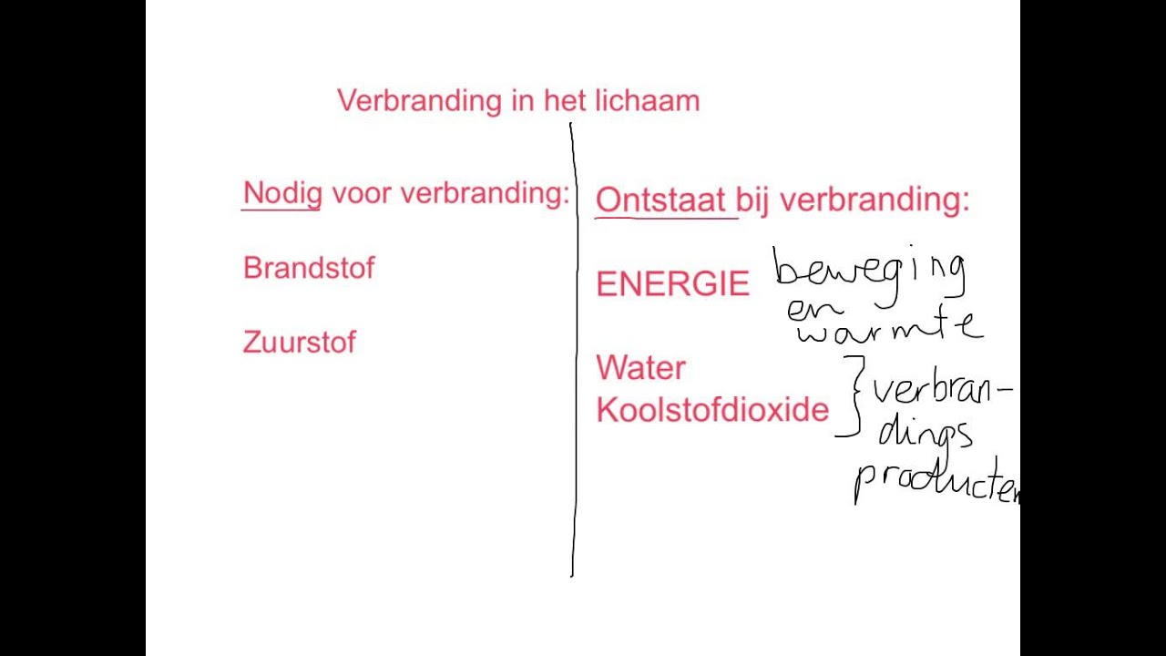 verbranding in het lichaam - YouTube