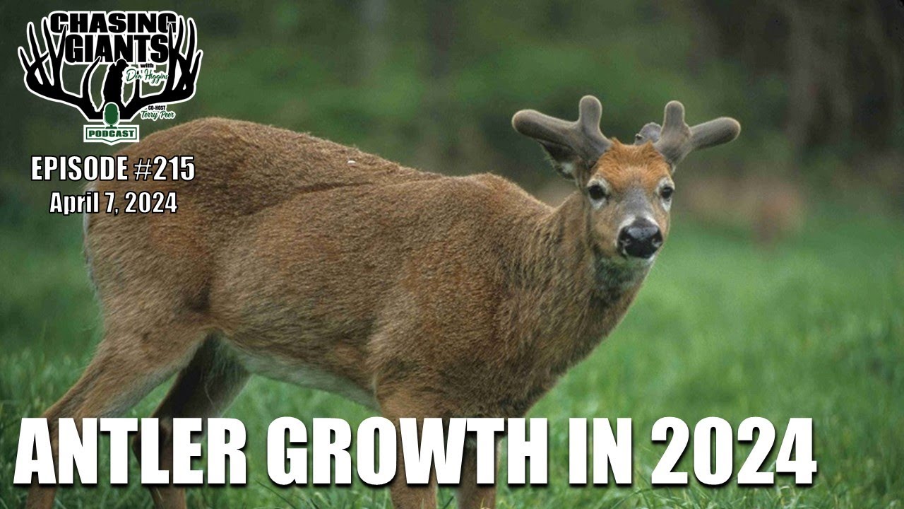 Episode #215 - Could 2024 be a fantastic antler growing season? - YouTube