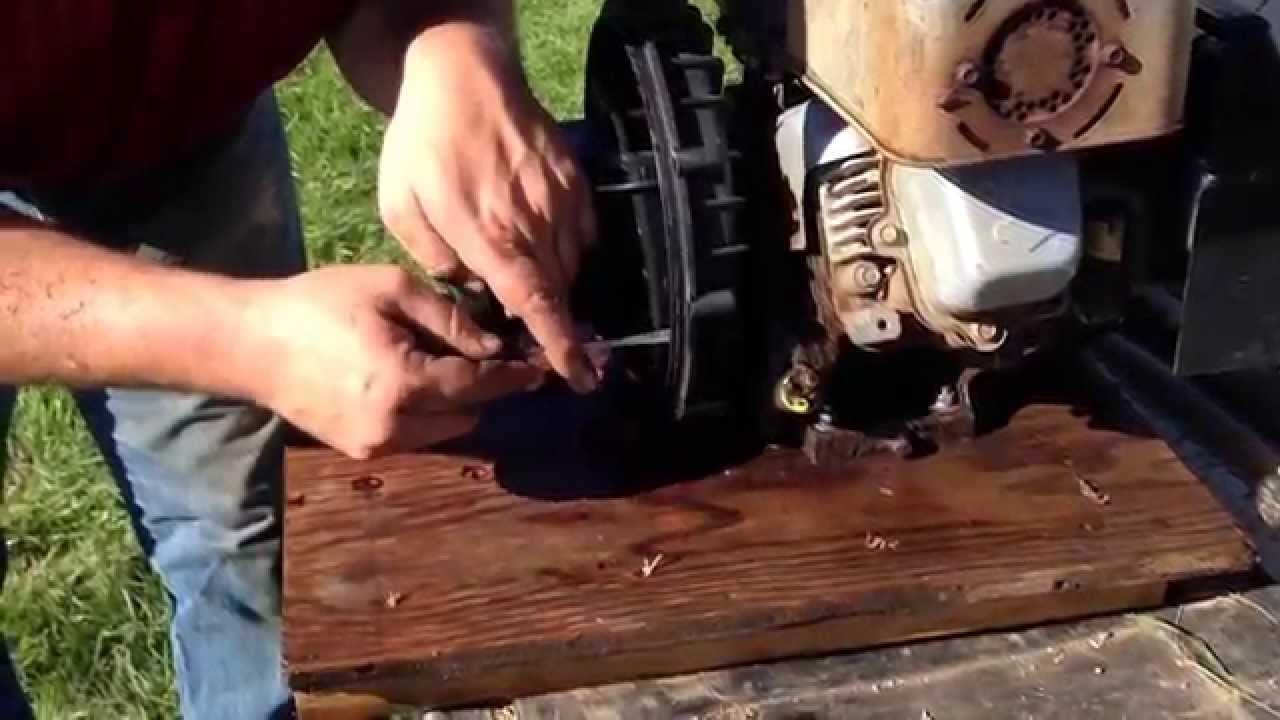 How to clean a water transfer pump snail. - YouTube