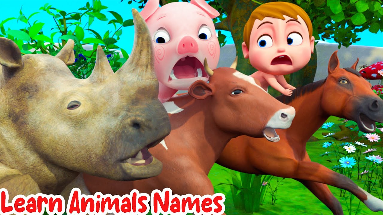 Baby Learning Videos | Baby Learn Colors & Animals Names: Rhino, Pig ...