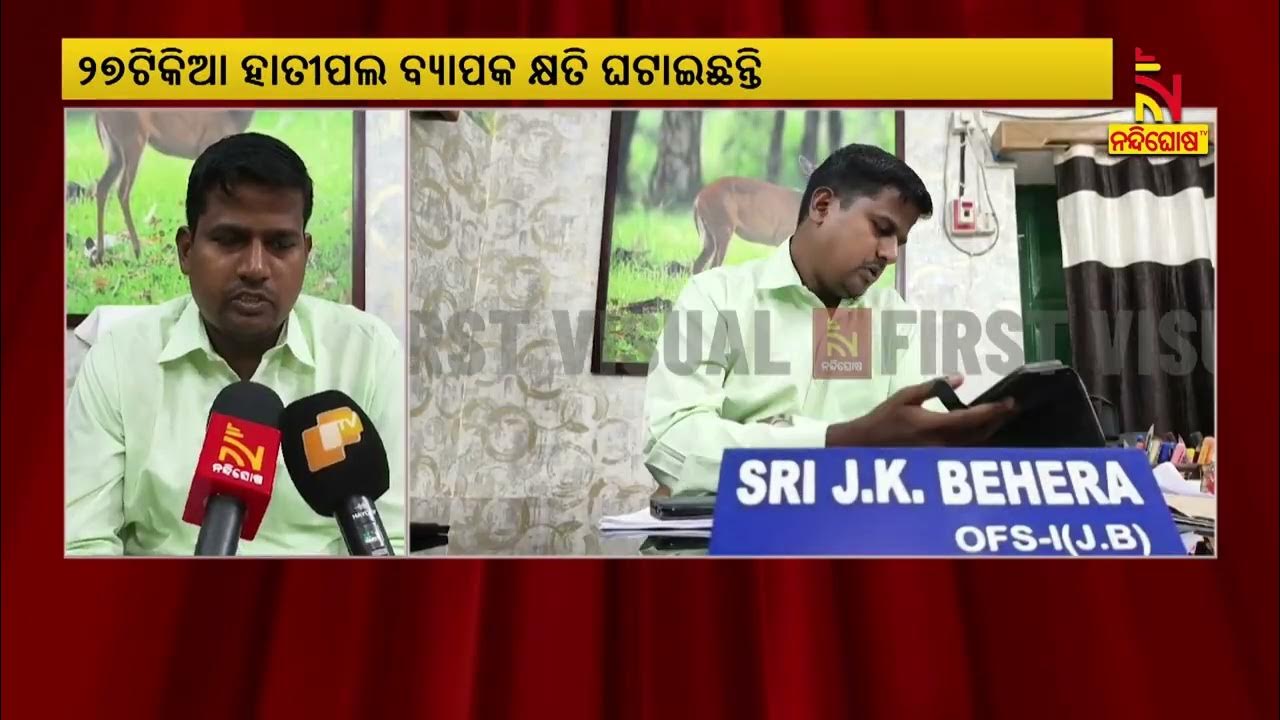Keonjhar In Chaos Elephant Herd Rampages Through Residential Areas