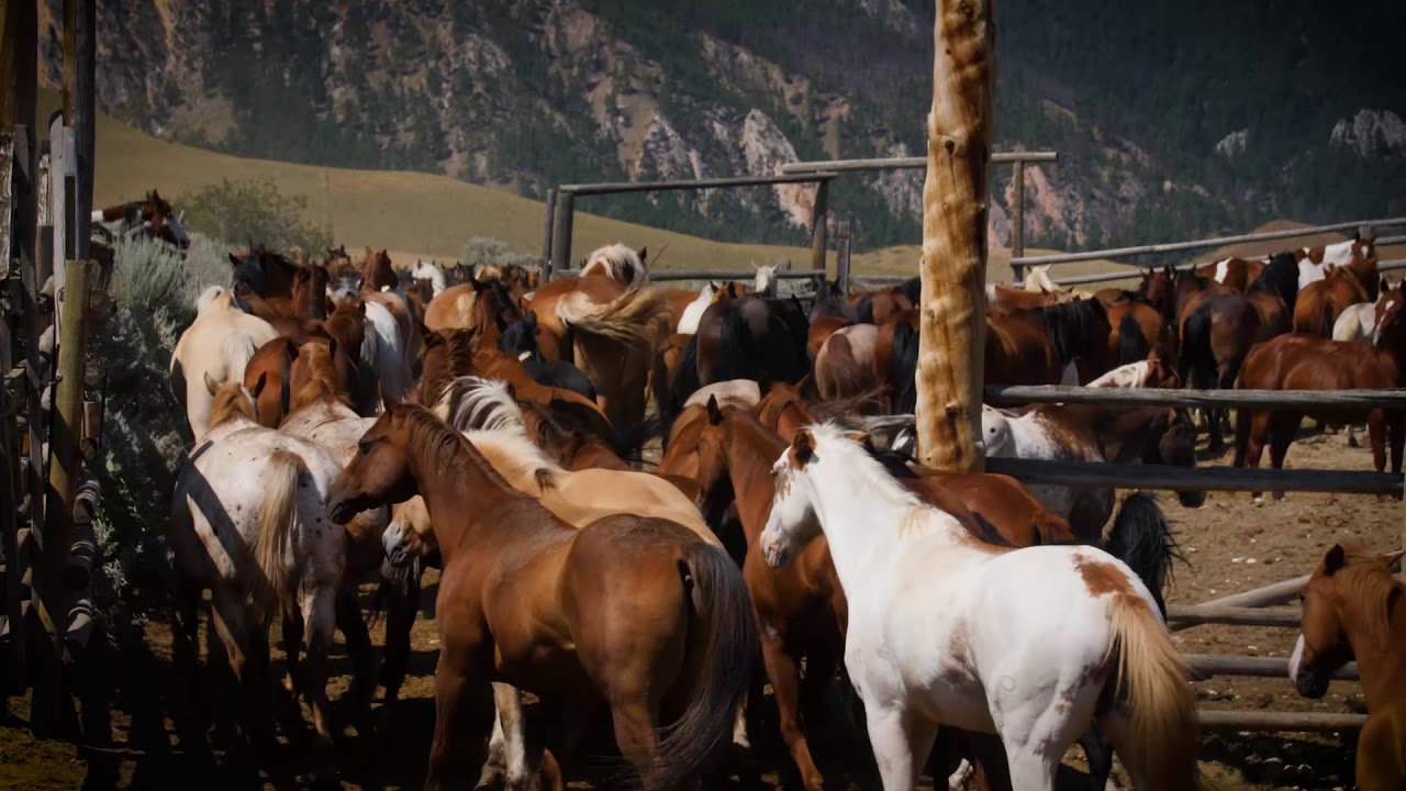 HF Bar Ranch: Saddlestring, Wyoming - YouTube