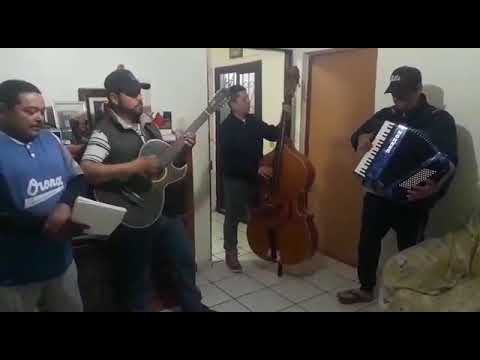 Florita del alma - Los Triki trakas del sabor - YouTube