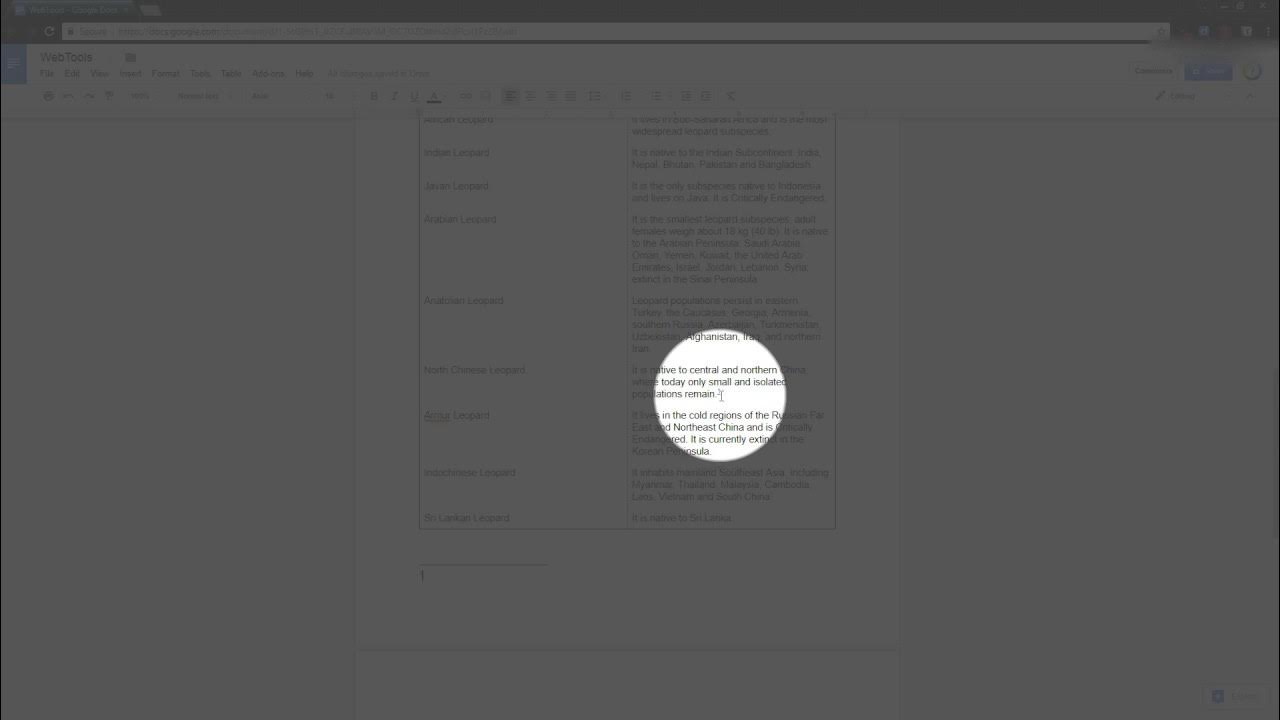 Google Docs Insert and Remove Footnotes - YouTube