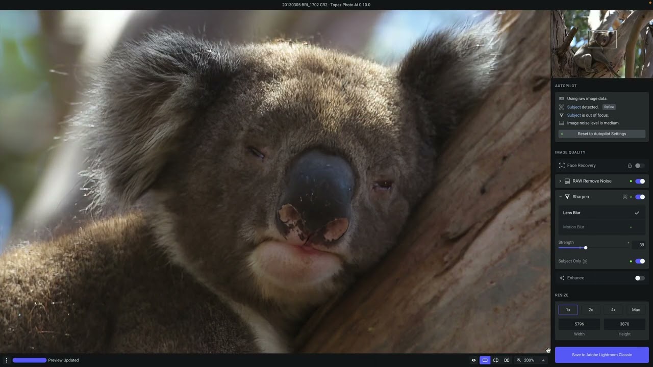 Introduction to Topaz Photo AI - YouTube