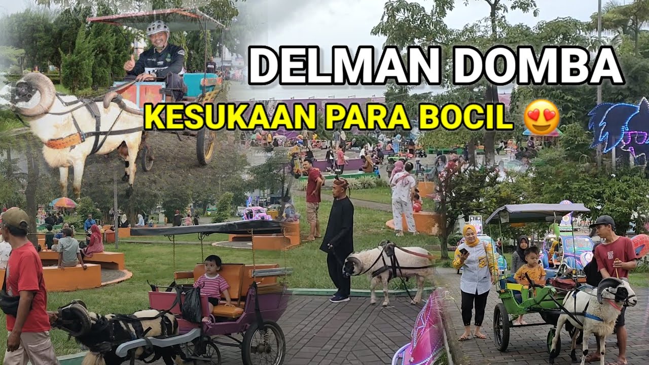 DELMAN DOMBA ALUN ALUN CIAMIS KESUKANNYA PARA BOCIL 😍 - YouTube