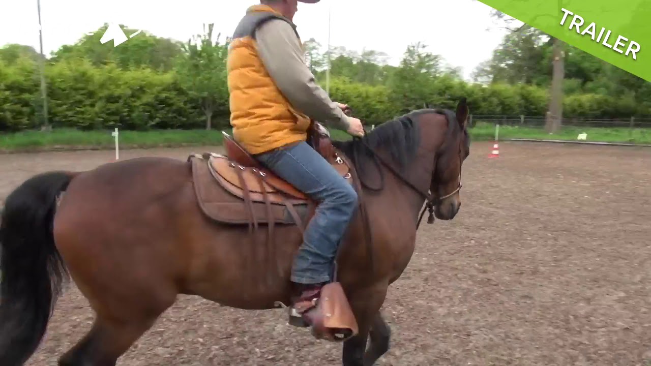 Bosal Reiten: So versammelst du dein Pferd | Schauwacker - YouTube
