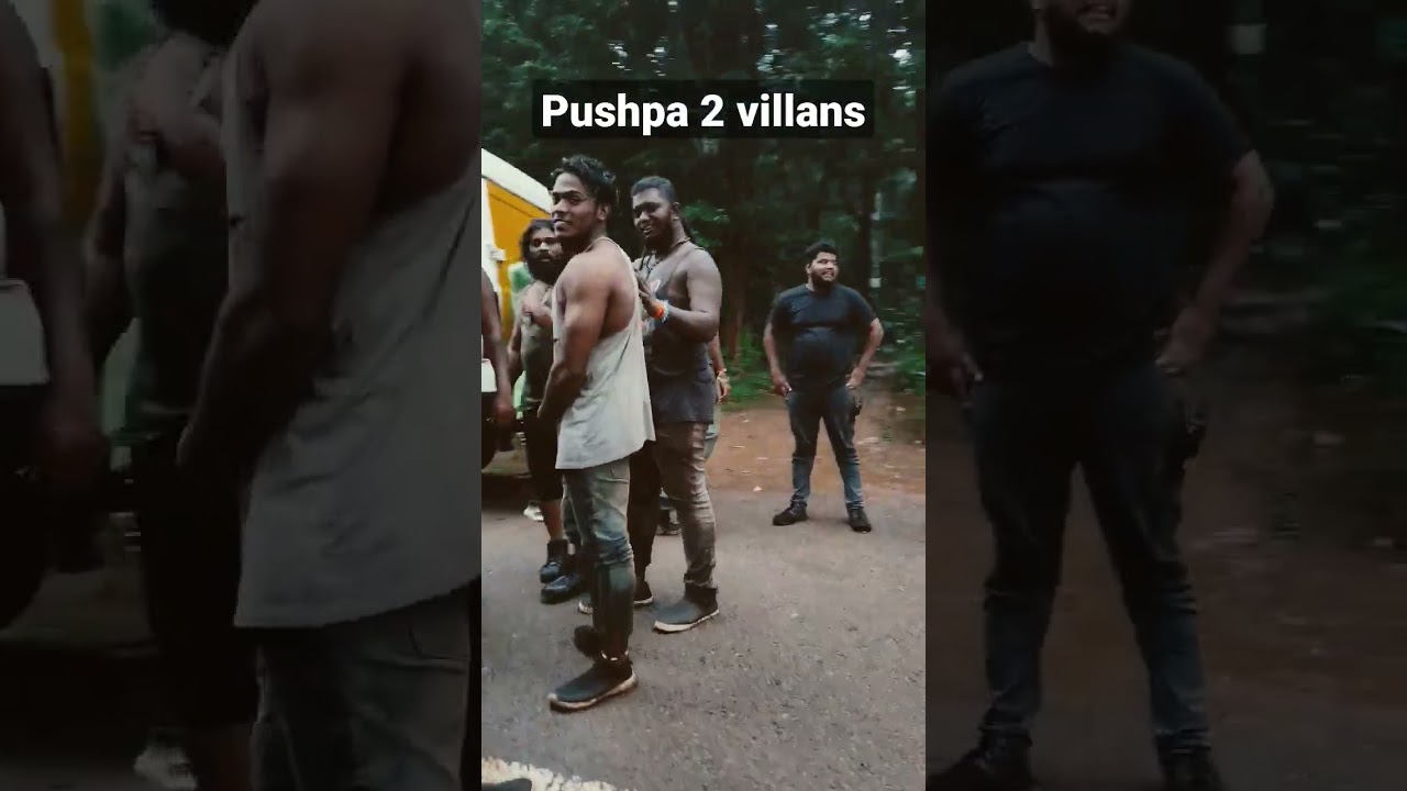 pushpa 2 villans - YouTube