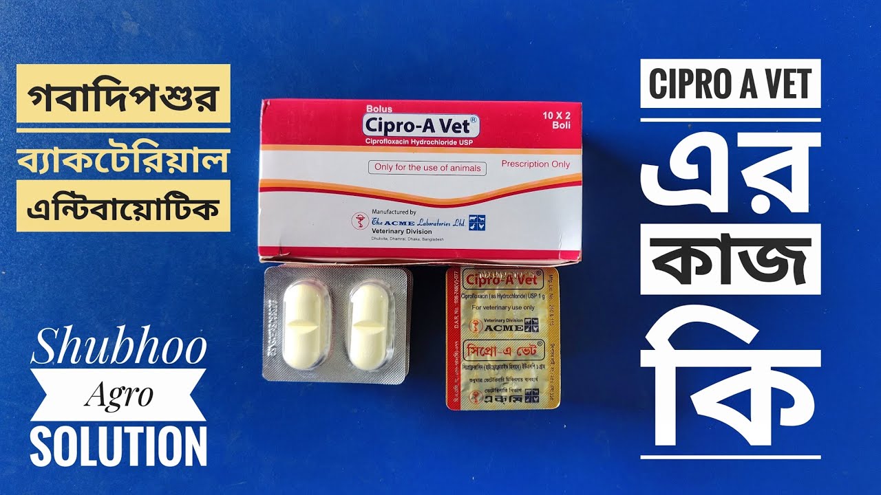 Cipro A Vet | Cipro A Vet Tablets | Cipro A Vet এর কাজ কি | Cipro A Vet ...