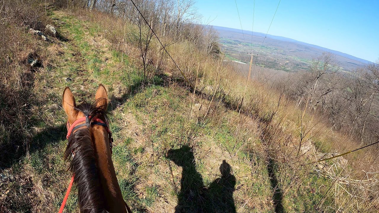 No Frills 30 mile Limited Distance ride - Crown's first! - YouTube