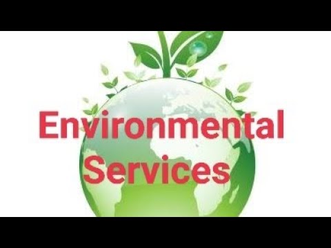 What are Environmental Services - YouTube