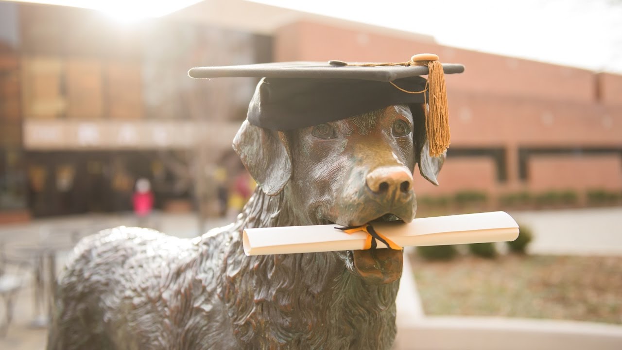 UMBC Winter 2016 Graduate Commencement Ceremony - YouTube