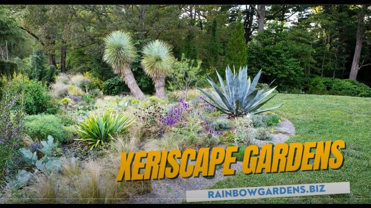 Xeriscape Garden - YouTube