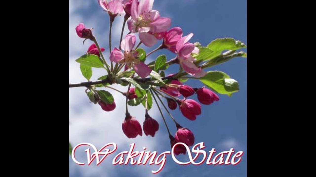 Waking State Interview EJ Gold 1984 - YouTube