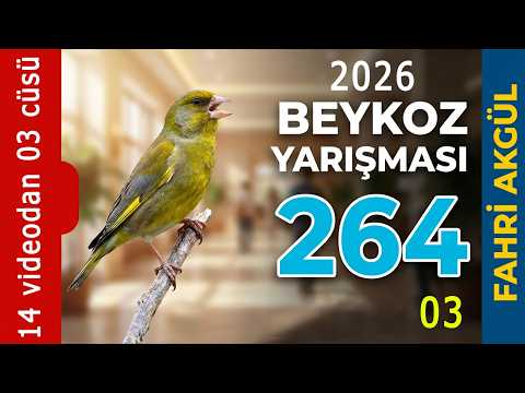 Flurya Kültürü 264 14-03 cüsü istanbul Beykoz Yarışması 28-06-2026