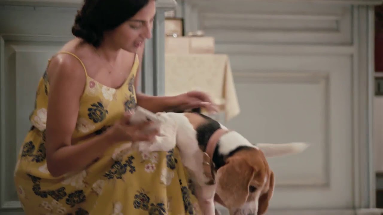 Vodafone+Dog+Ad - YouTube