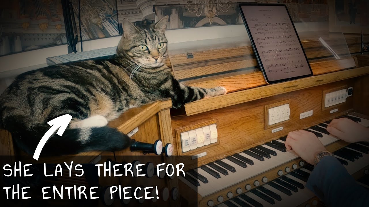 🎵 Vivaldi - Spring (FOUR SEASONS) // arrangement for ORGAN - YouTube