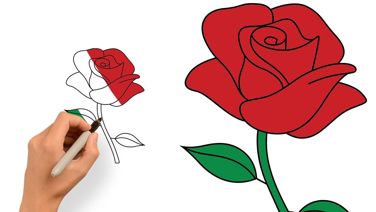 How to Draw Rose Step by Step (Art Tutorial) - YouTube