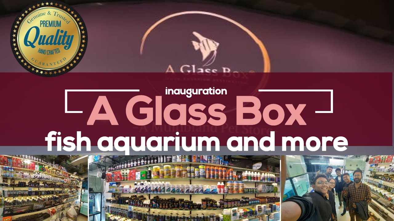 Inaugural event of A Glass Box - YouTube