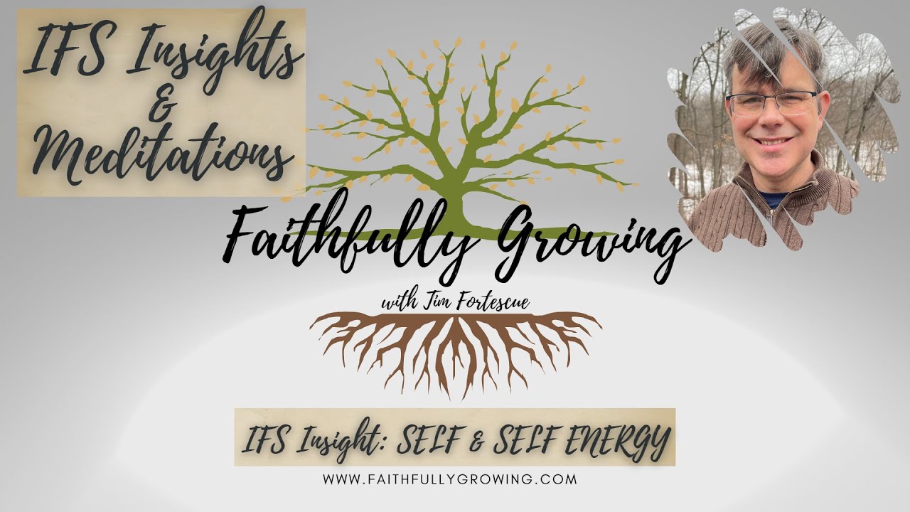 IFS Insight: SELF & SELF ENERGY - YouTube