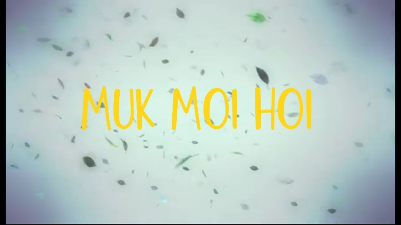 MUK MOI HOI | OFFICIAL LYRICAL VIDEO | ASSAMESE SONG | NAIBEDYA NATH ...