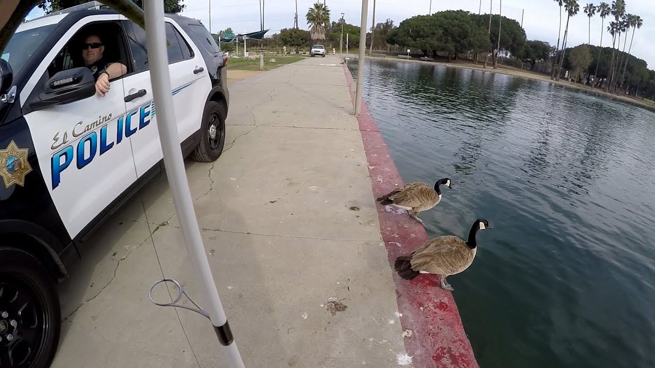 The Cops saw me!! But i still got one in! - YouTube