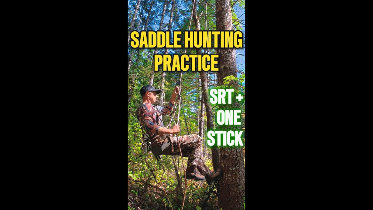 Ascending-Repelling-Saddle Shooting 35ft up! #saddlehunting #archery # ...