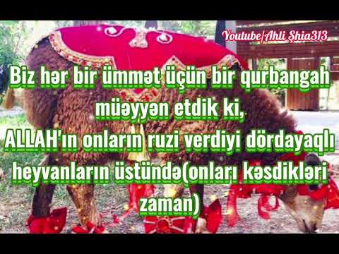 Qurban bayramınız mübarək əziz müsəlmanlar.2021