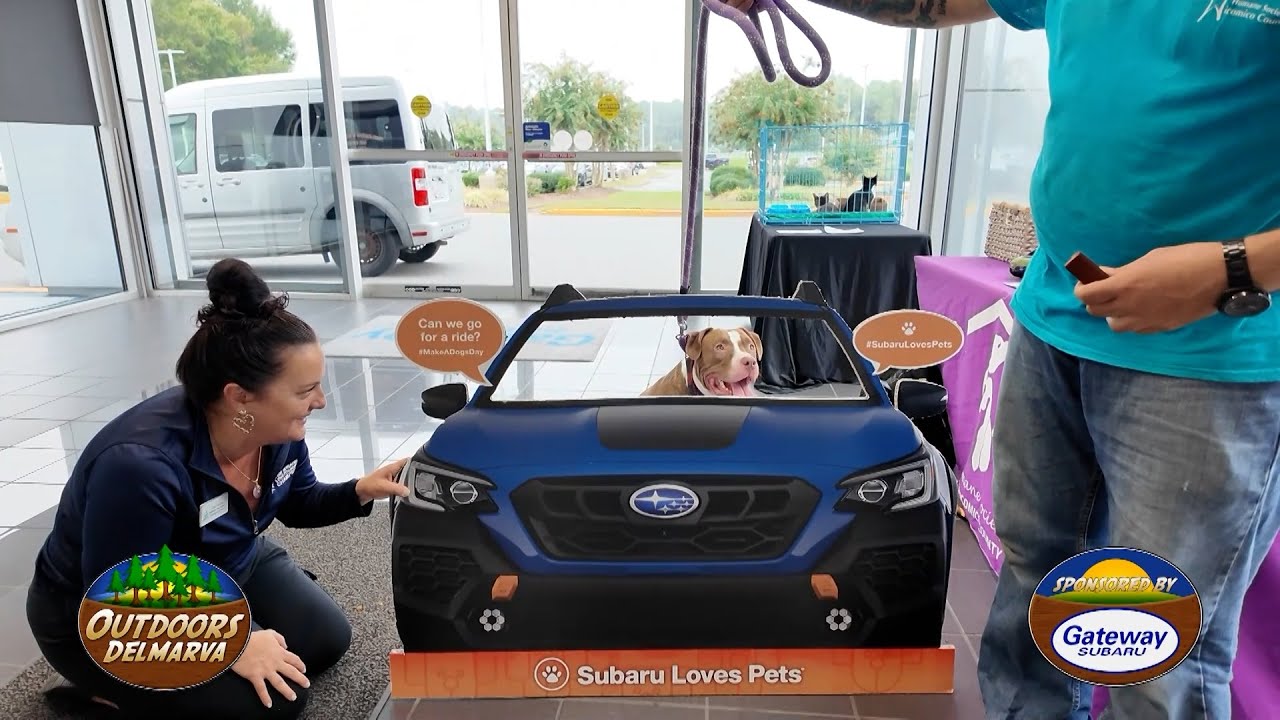 Gateway Subaru: Subaru Loves Pets - YouTube