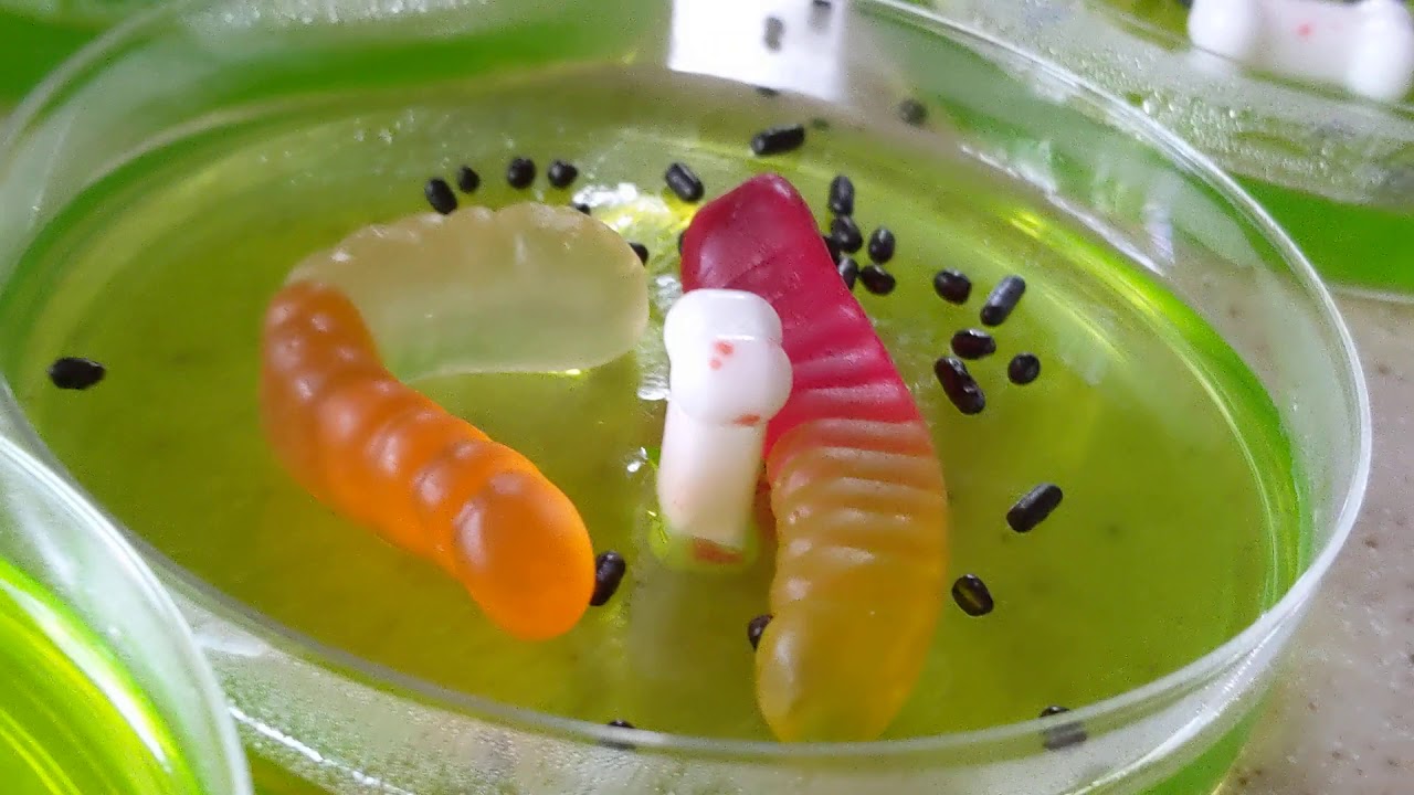 GROSS AND GOOEY ZOMBIE SLIME AND ANTS AND BLOODY BONES - YouTube