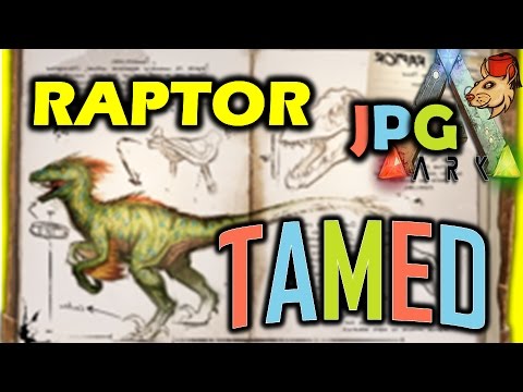 ARK Survival Evolved Raptor Explained - ARK TAMED - YouTube