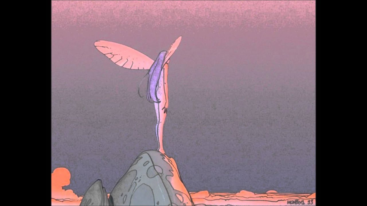 Kona Triangle - Mauna Loa - YouTube