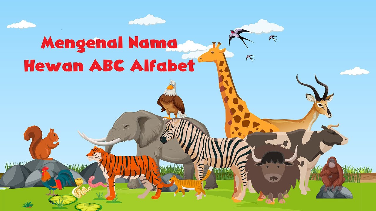 Mengenal Nama-nama Hewan Urutan ABC Alfabet - YouTube