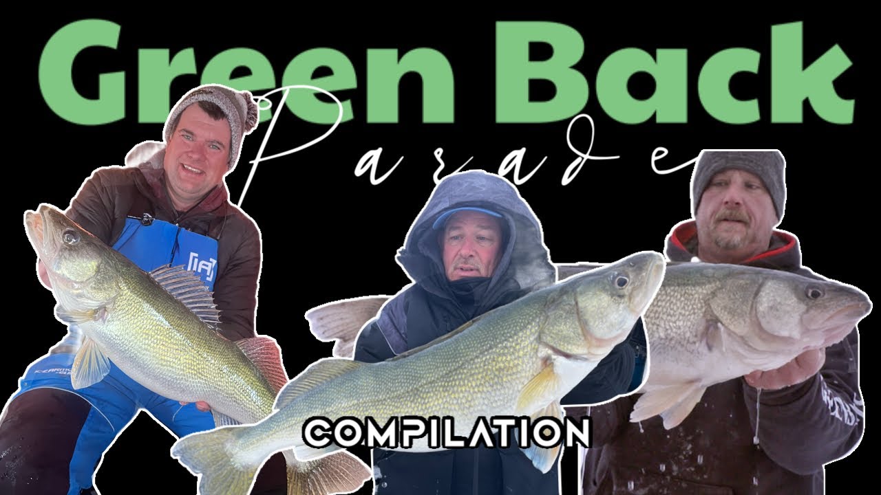 Green Back Walleye Compilation - YouTube
