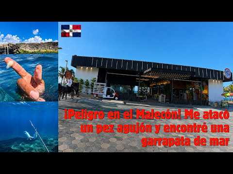 PESCA DE ARPÓN EN LA ZONA DEL RESTAURANTE DOÑA PULA EN EL MALECÓN DE SANTO DOMINGO